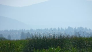 Activities Gallery - Chiloquin